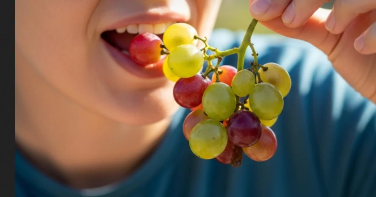 8 Powerful Health Benefits of Eating Grapes: Why You Should Add Them to ...