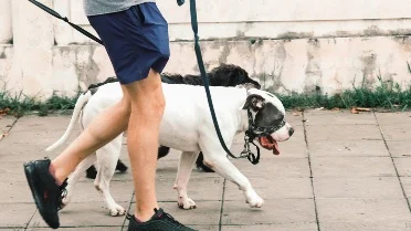 How many calories you really burn during a 30-minute walk, according to ...